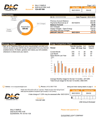How to Read Your Utility Bill: Duquesne Light Co.