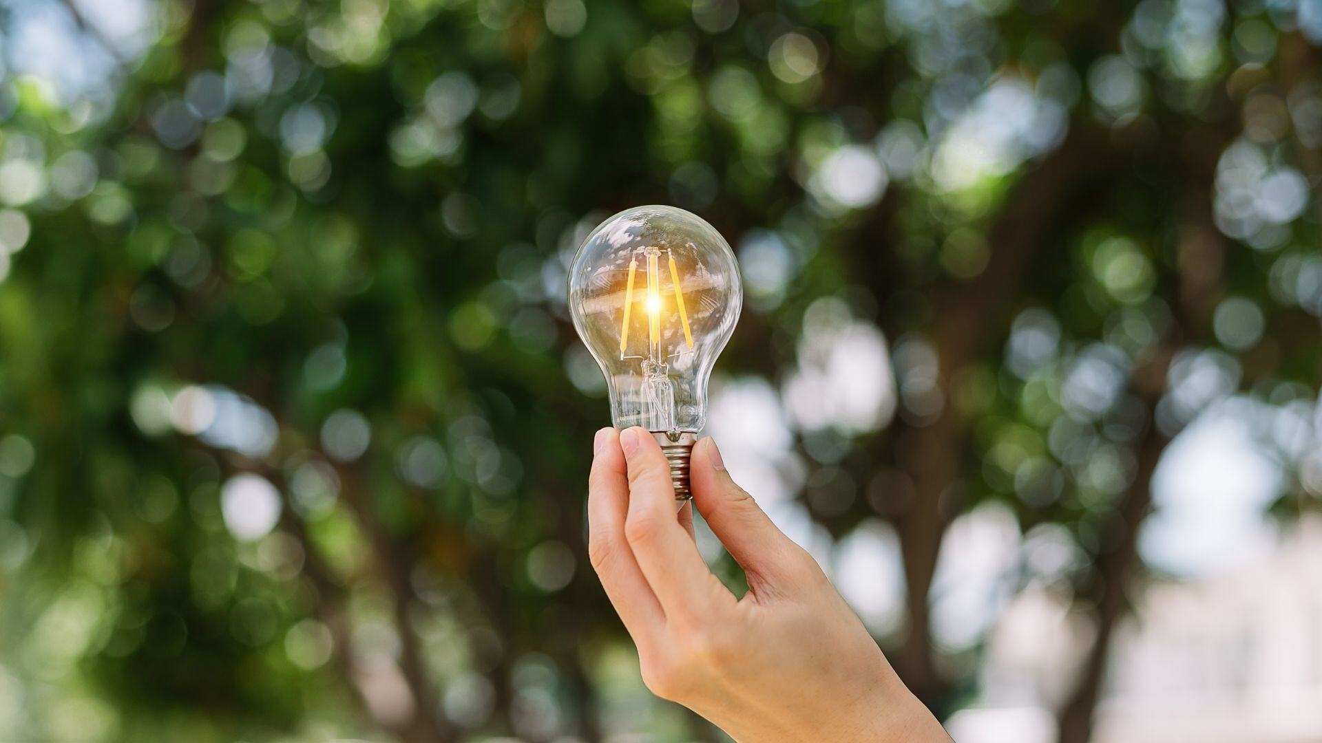 From Start to Finish: Comprehensive Cogeneration Services from Catalyst ...